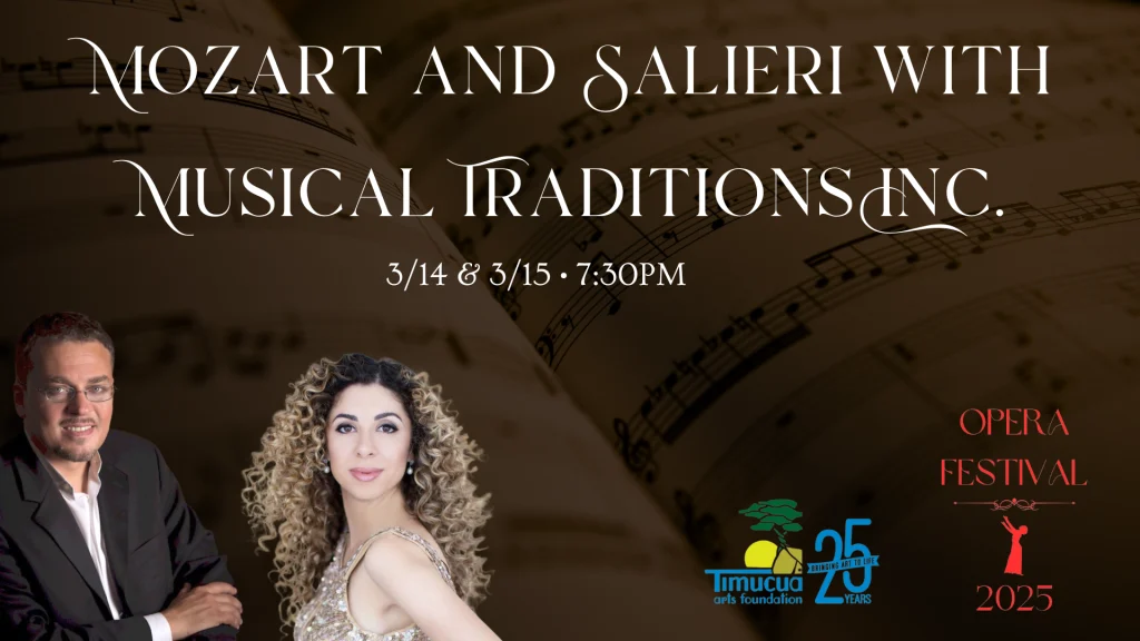 Opera Festival: Mozart and Salieri with Musical Traditions • Stellar Tickets